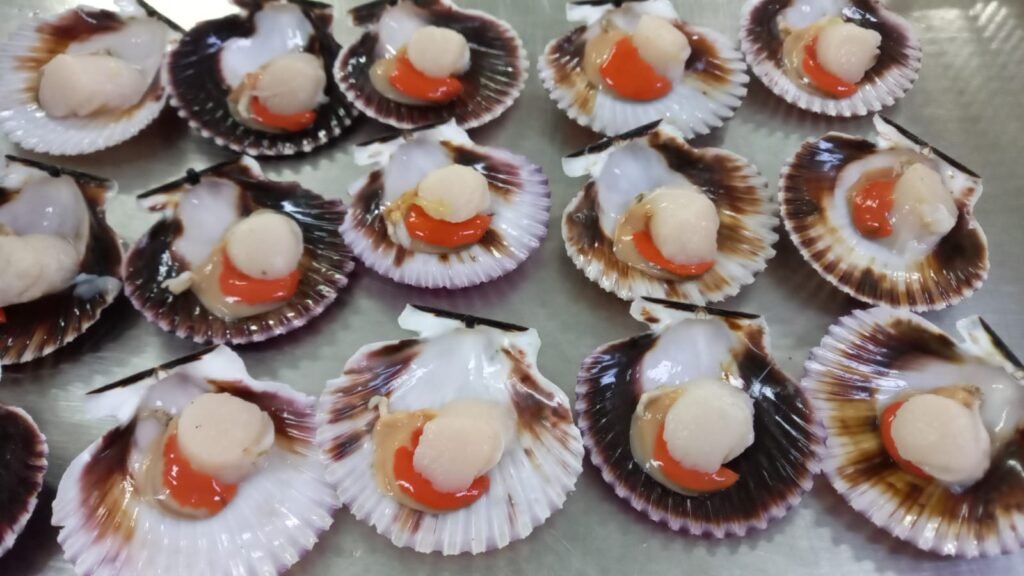 Cultivo de la Concha de Abanico en el Perú – Expande Plus